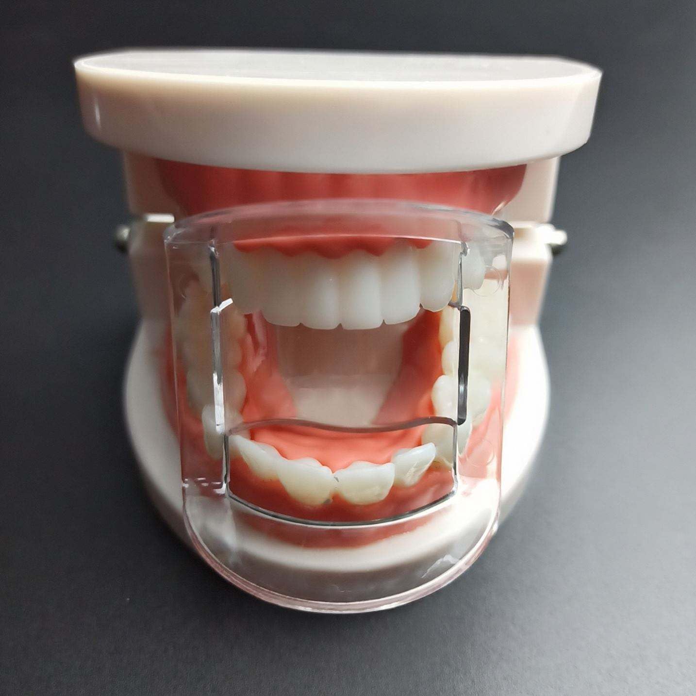 Amazon.com: Dental Mouth Opener Intraoral Cheek Retractor Bite Tools ...