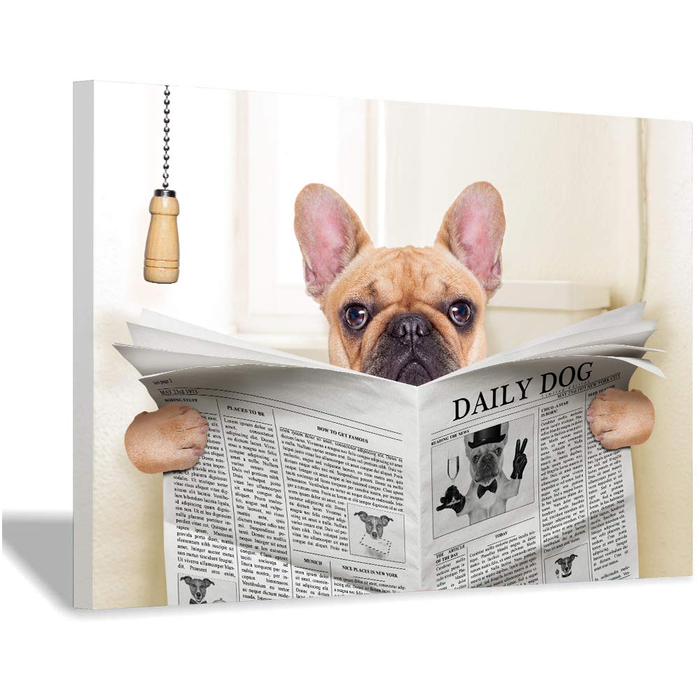 Dog Reading Magazine