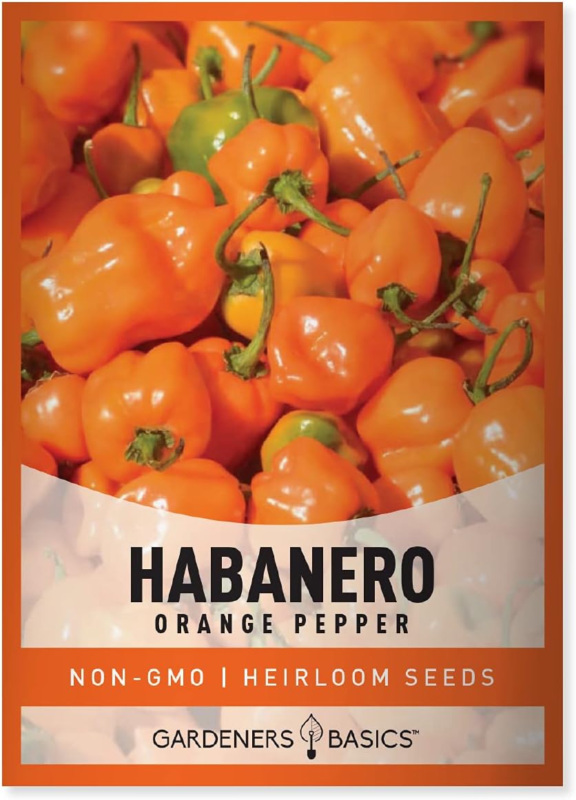 Amazon.com : Seed Needs, Habanero Pepper Seed Packet Collection (5 ...