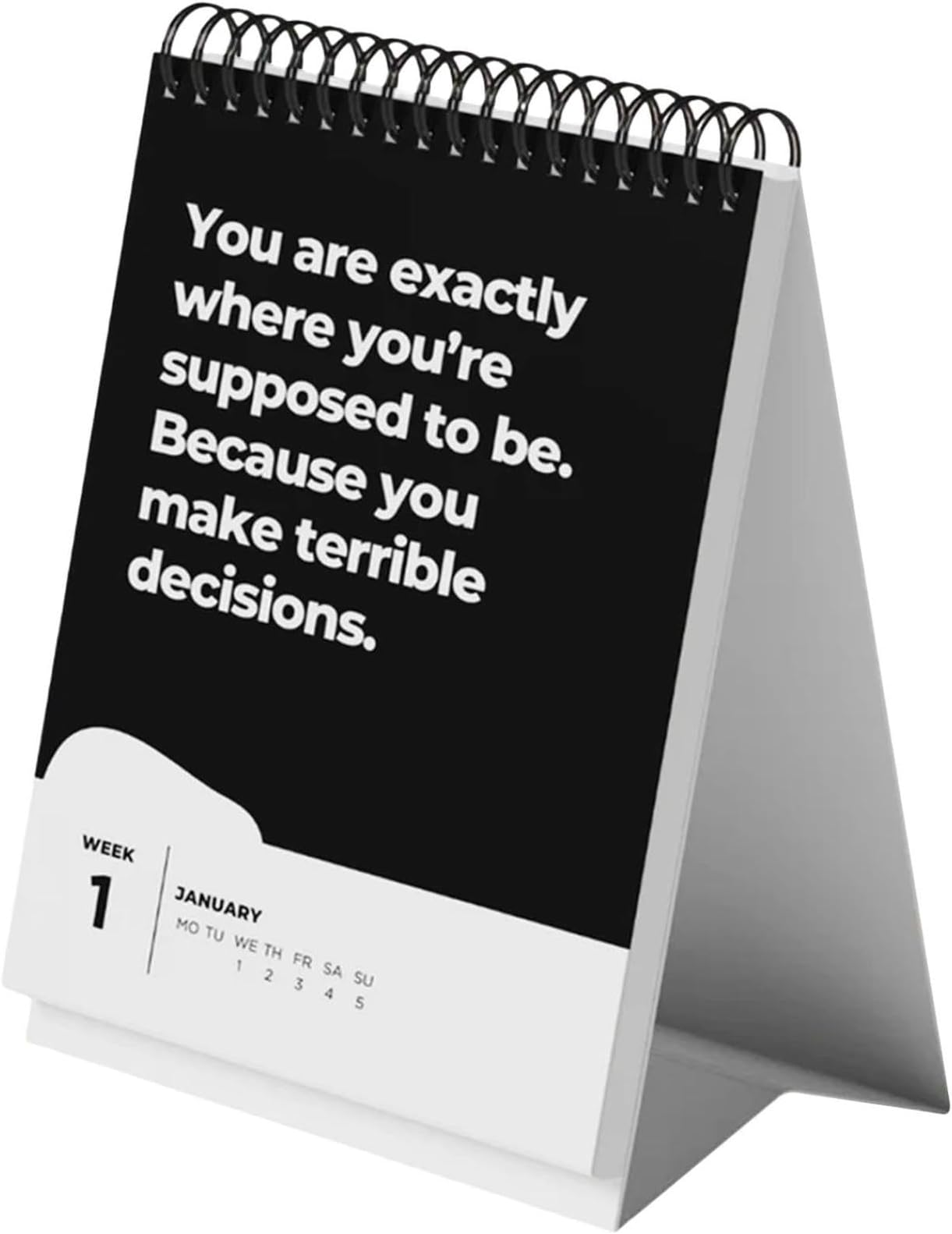 Amazon.com : 2025 Work Desk Calendar - Demotivational Affirmations ...