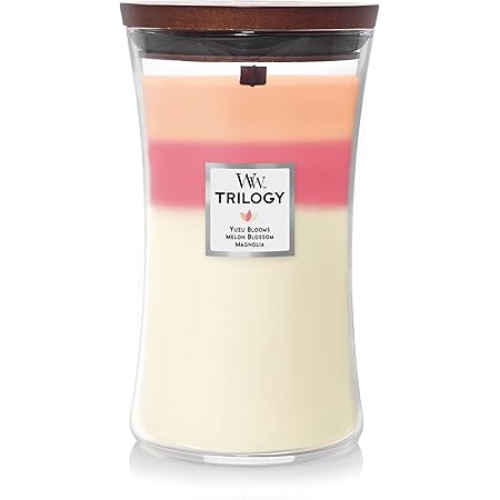 Amazon.com: WoodWick Ellipse Candle, Blooming Orchard Trilogy, 16 oz. : Home & Kitchen