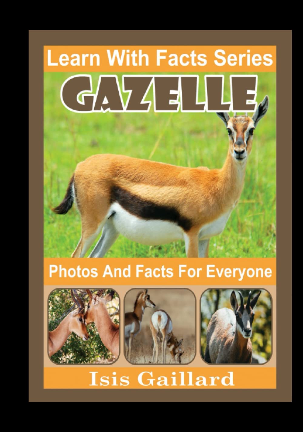 Gazelle Photos and Facts for Everyone: Animals in Nature (Learn With ...
