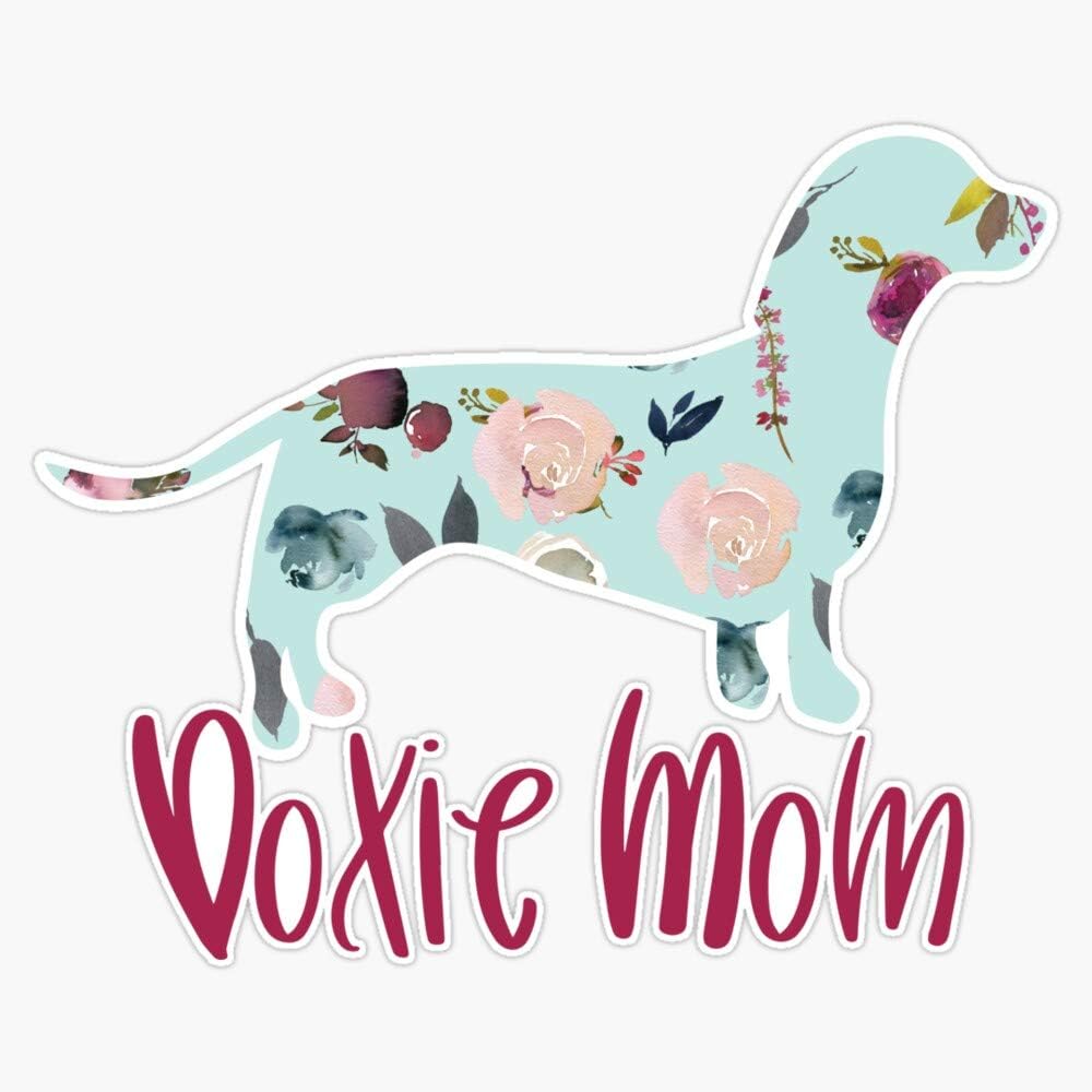 Amazon.com - Blue Merle Aussie Pup Vinyl Waterproof Sticker Decal Car ...