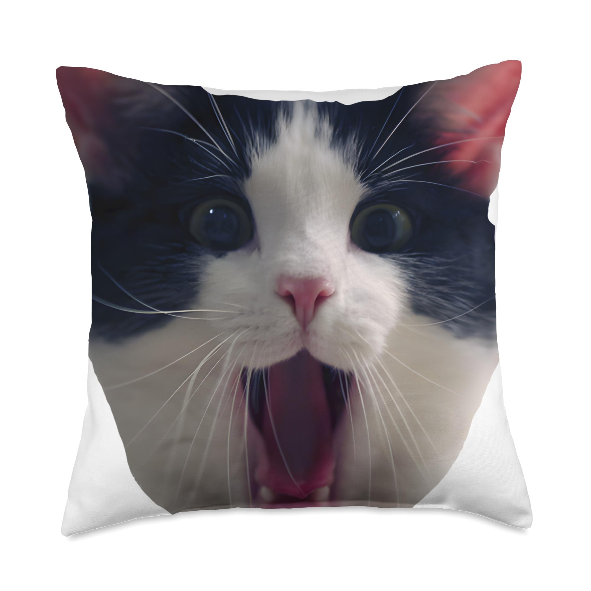 Shocked Cat Memes