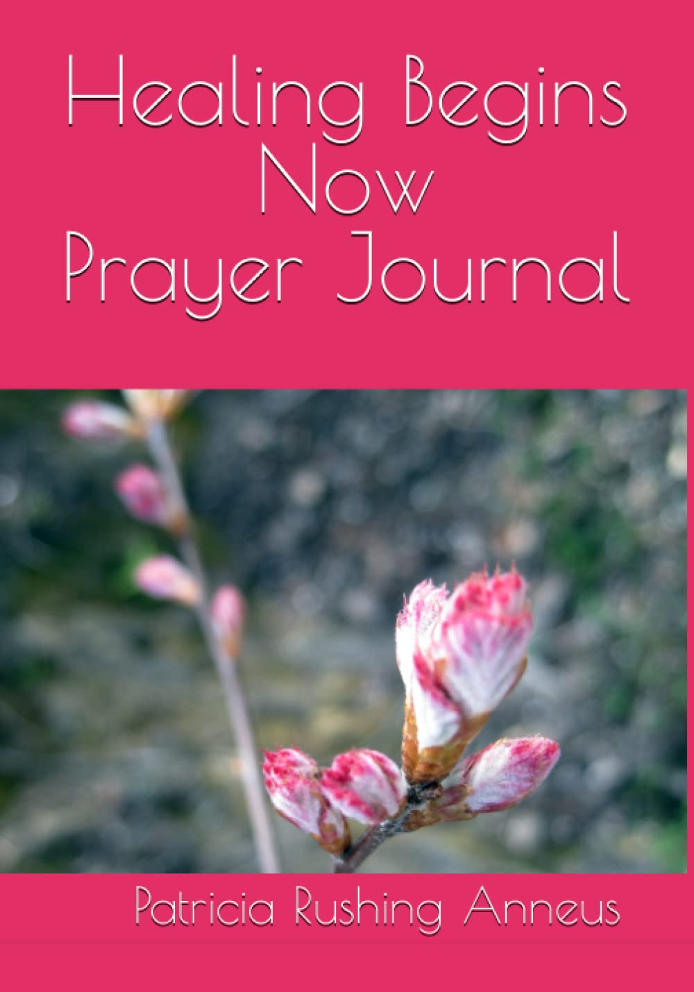 Healing Begins Now Prayer Journal: Anneus, Patricia Rushing: Amazon.com ...
