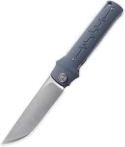 Amazon.com : Petrified fish PFB04 Tena Folding Knife, 3.82" D2 Steel ...