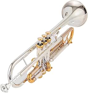 Amazon.com: trumpets for beginners Bb Trumpet Instruments Surface ...