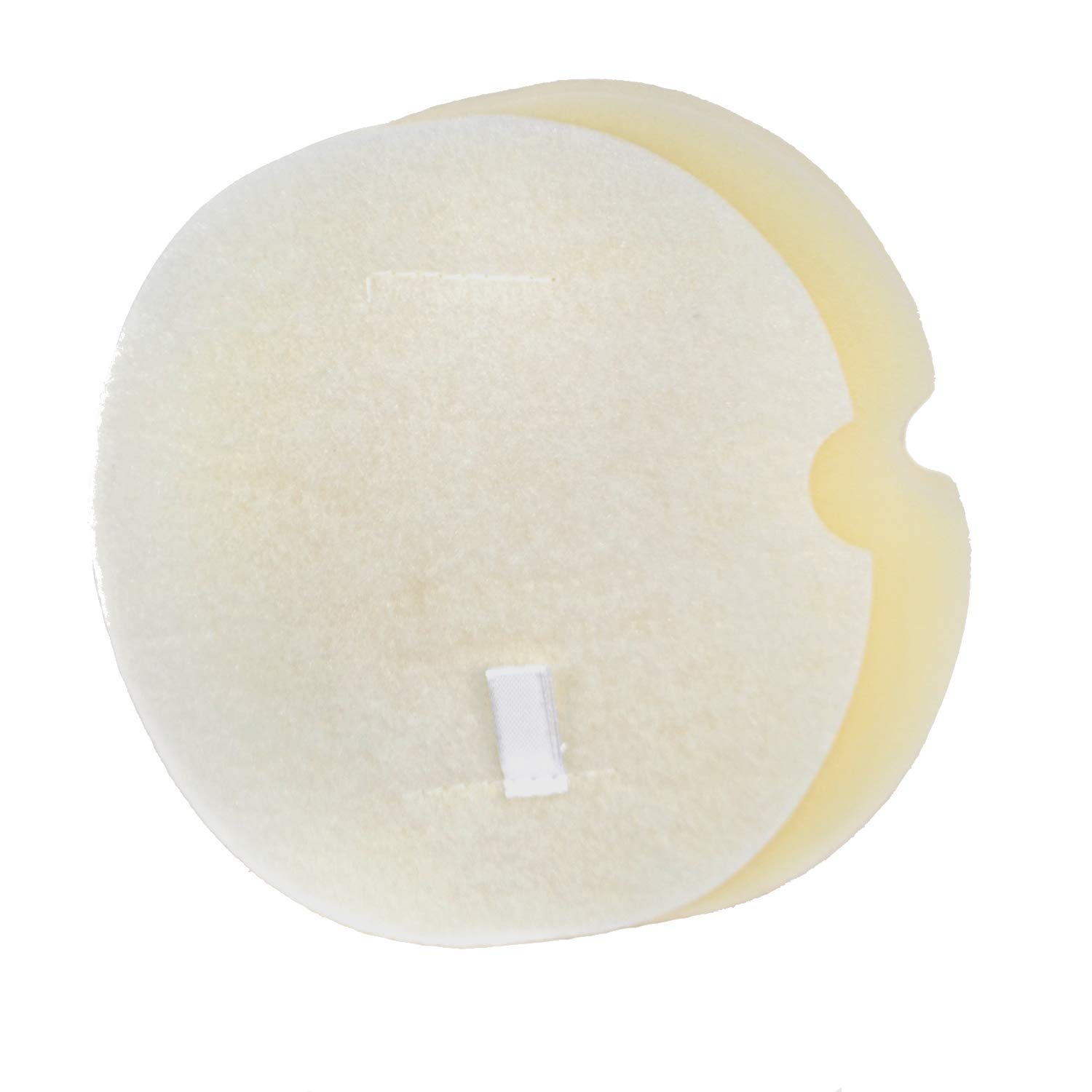 Amazon.com: HQRP Foam & Felt Filter Kit compatible with Shark NP317 ...
