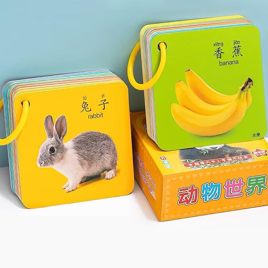 Chinese Character Cards Beginners Sight Words Mandarin Early Education ...
