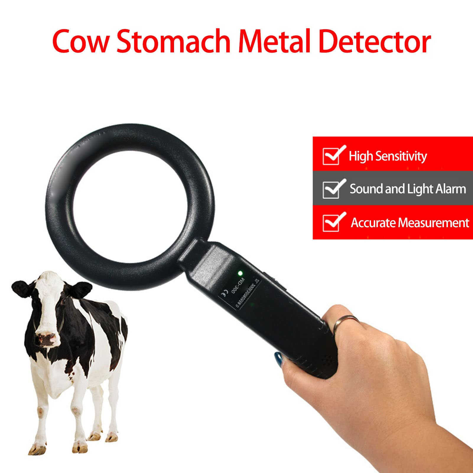Cow Stomach