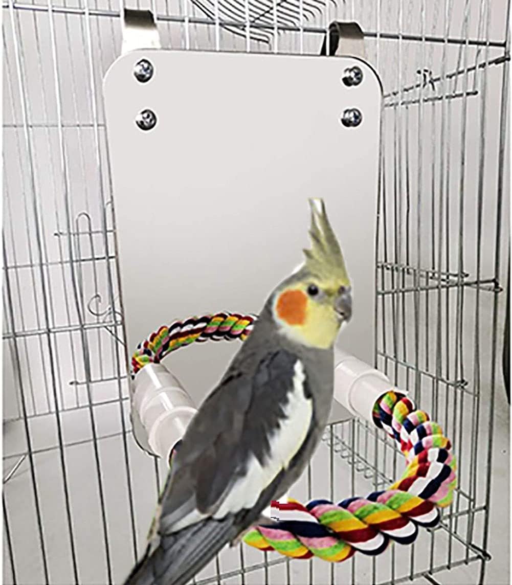 Amazon.com : Keersi Bird Stand Rope Perch with Mirror Toy for Parrot ...