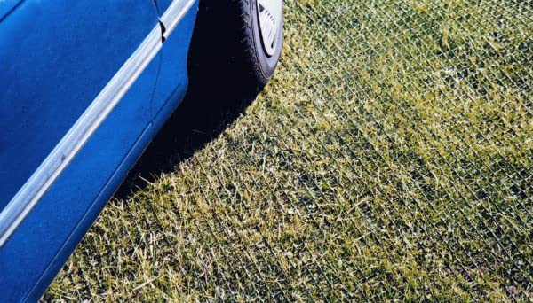 Buy Medium Duty Grass Reinforcement Mesh GS640 (2m x 10m – 640gsm) Turf ...