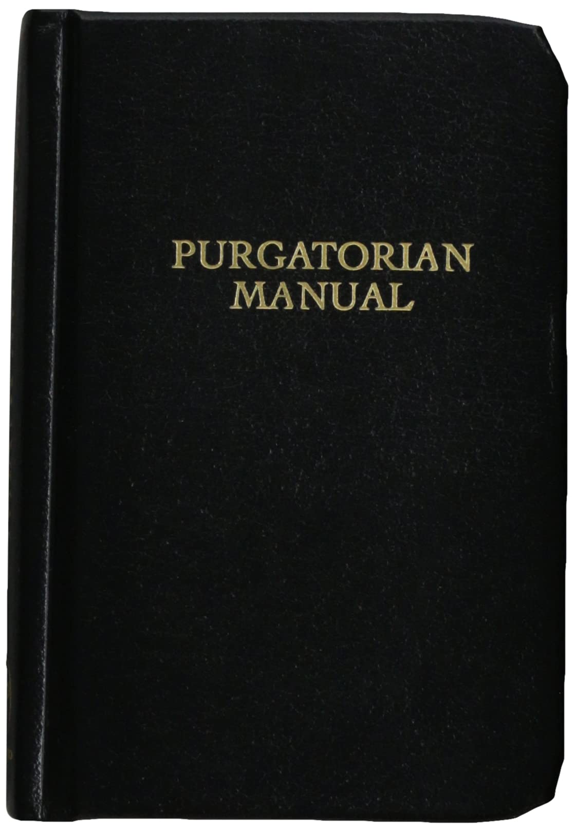 Purgatorian Manual: Redemptorist Purgatorian Society: 9781622921539 ...
