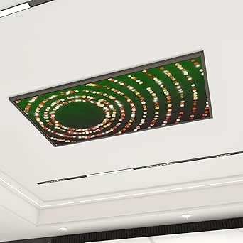 AFWADFWA Decorative Fluorescent Light Covers for Ceiling Lights Glitter ...