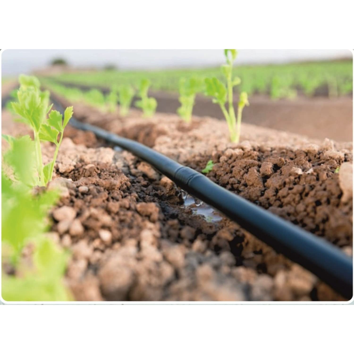 Weeping Hose Irrigation Hozelock Porous Soaker Hose