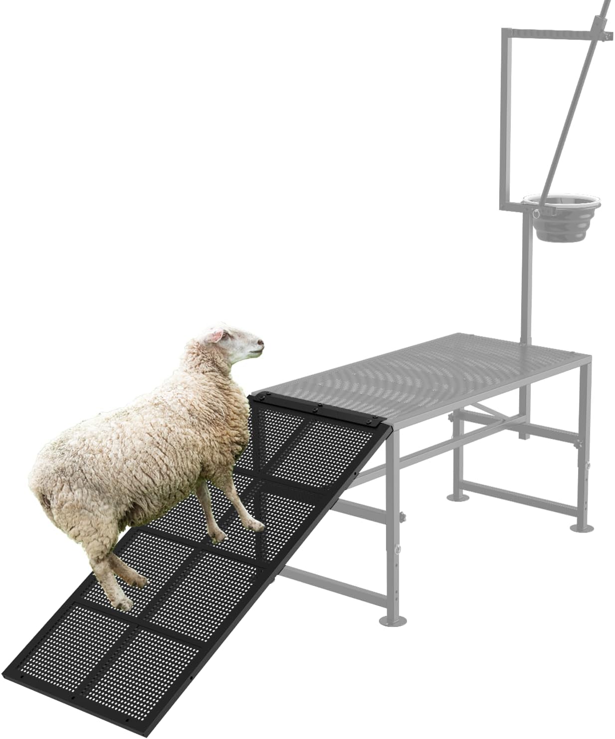 Amazon.com : Lezbanz Goat Stand Ramp Use for Our 47 inch Goat Milking ...