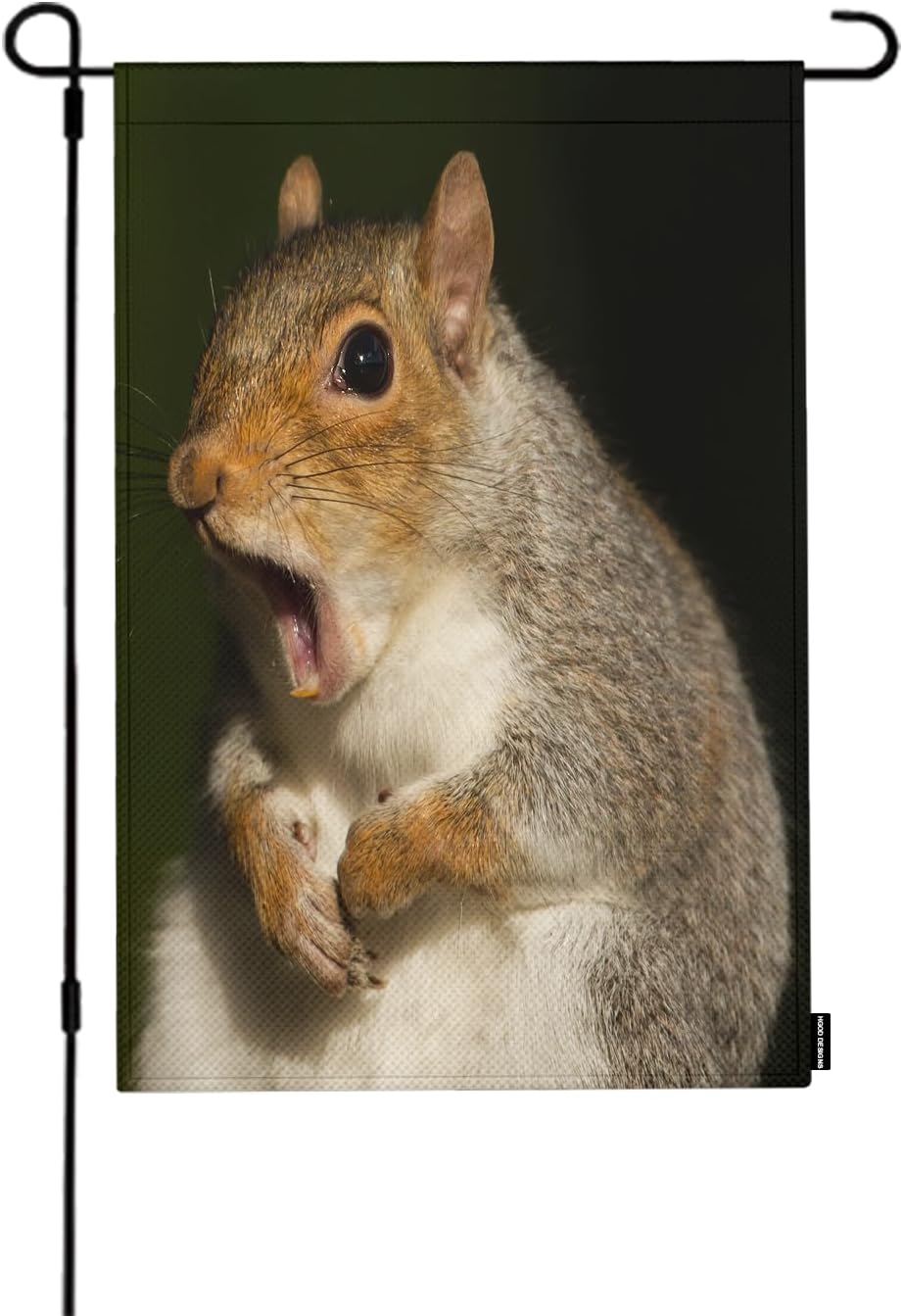 Amazon.com : Cute Squirrel Garden Flag Double Sided,Garden Flag Yard ...