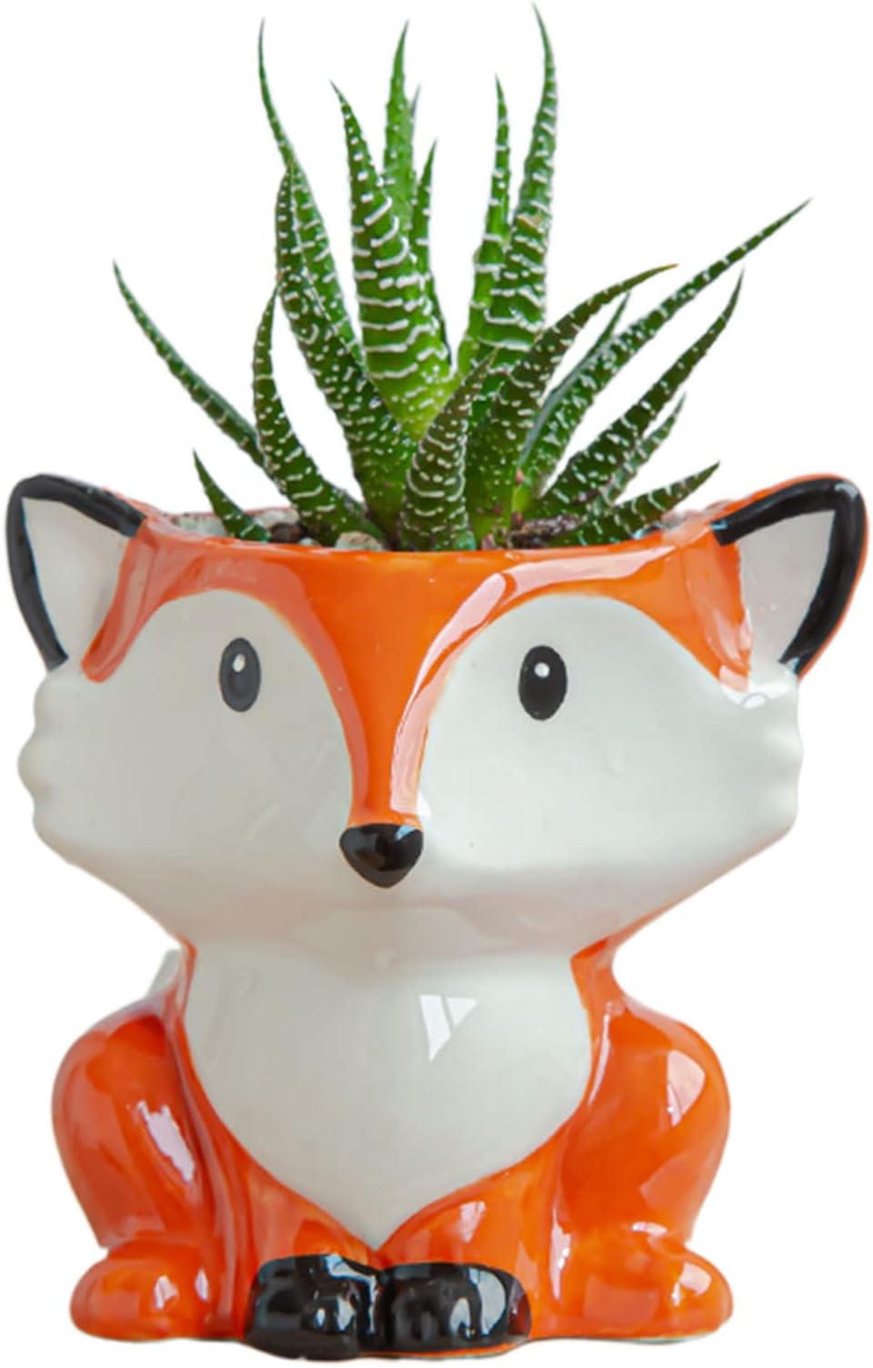 Sass & Belle Mini Woodland Fox Planter : Amazon.co.uk: Garden