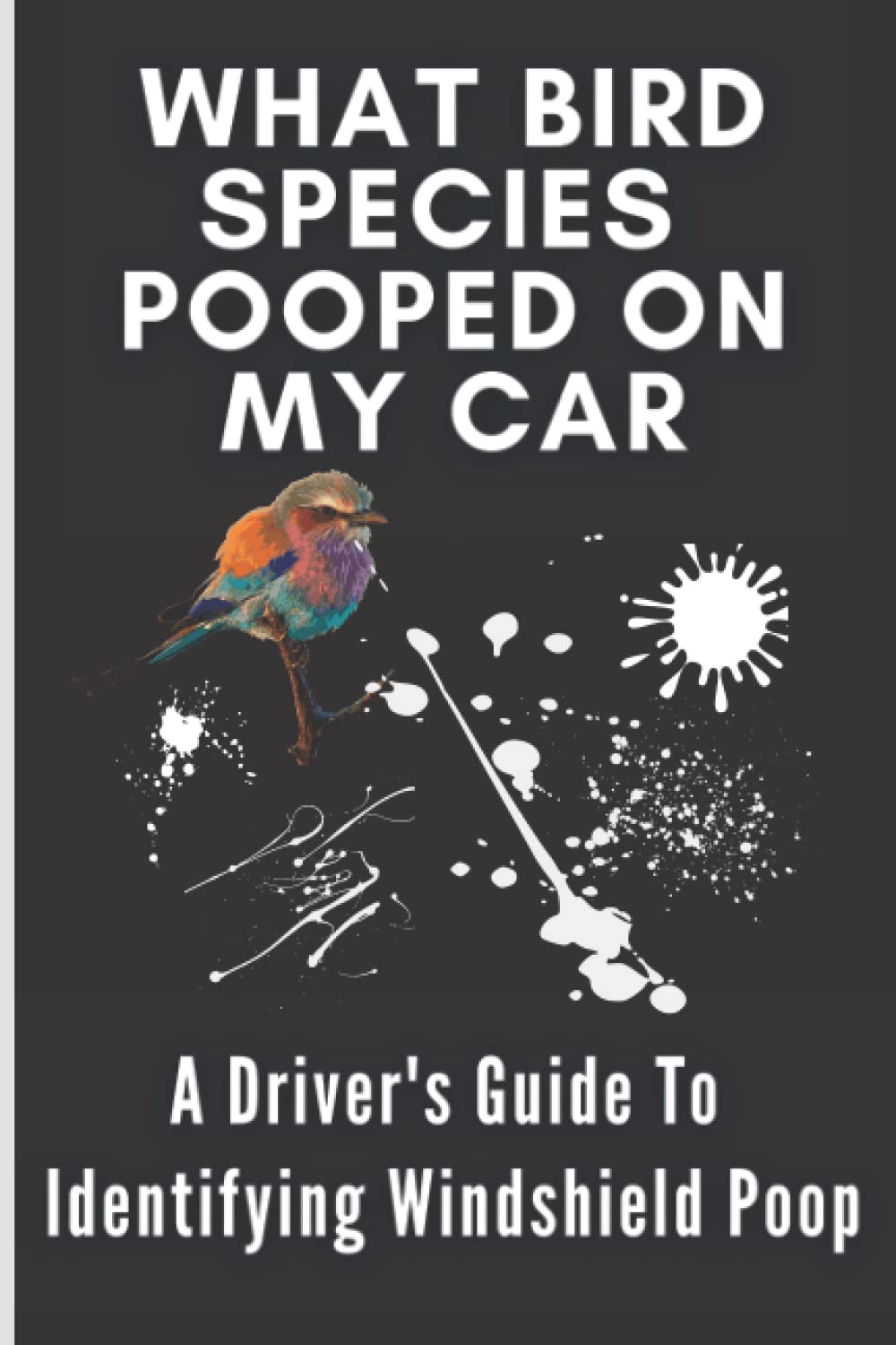 What Bird Species Pooped On My Car Bird Poop Prank | Desertcart INDIA