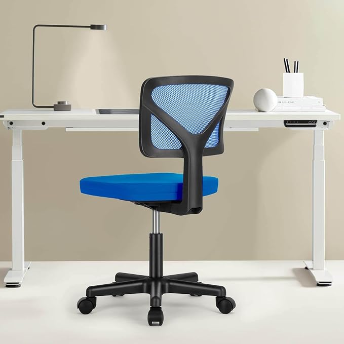 Amazon.com: Elevon Armless Desk Chairs, Ergonomic Low Back Computer ...