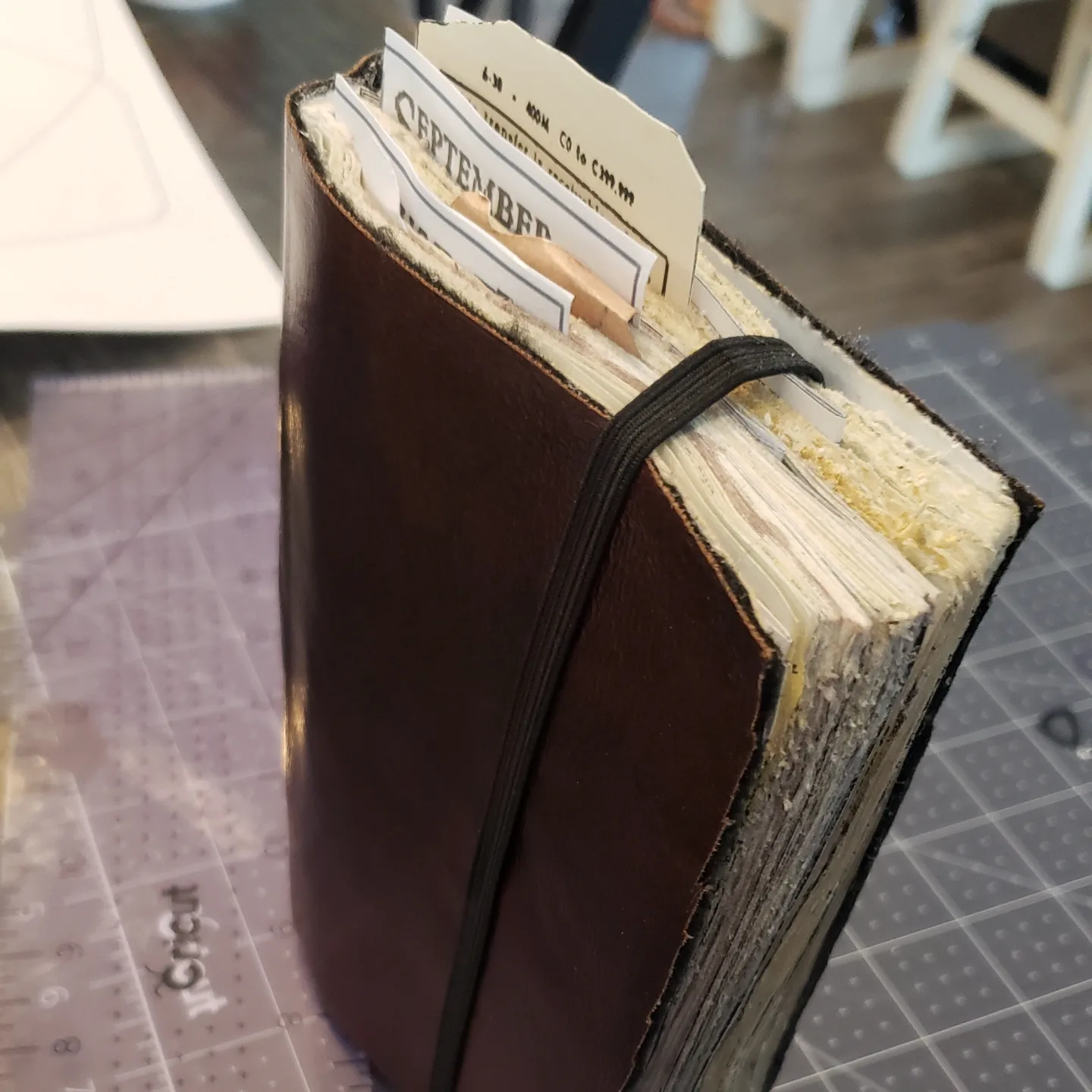 The Grail Diary: Indiana Jones and the Last Crusade : Amazon.in: Books