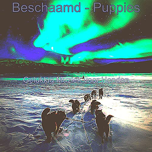 Beschaamd - Puppies de Gelukkig Muziek voor Honden en Amazon Music ...