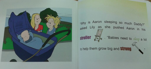 Sara, Lily and Aaron: Going Home: Konkoly, Judy: 9781453836651: Amazon ...