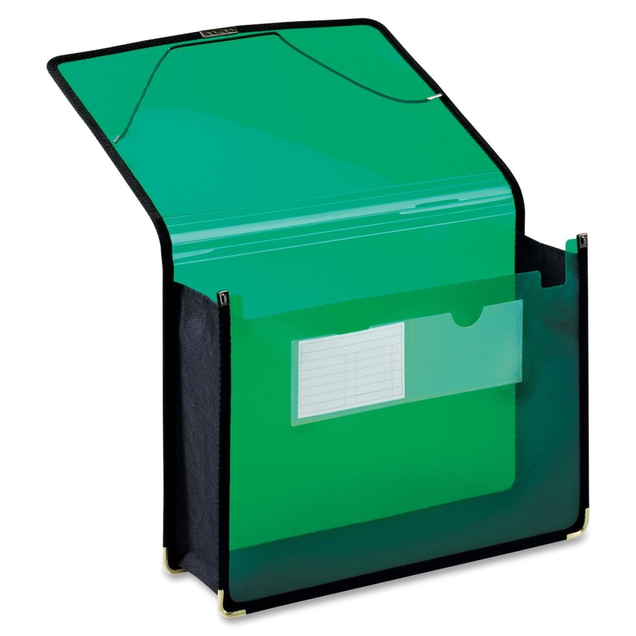 Amazon.com : Globe-Weis/Pendaflex Poly File Wallet, 3.5-Inch Expansion ...