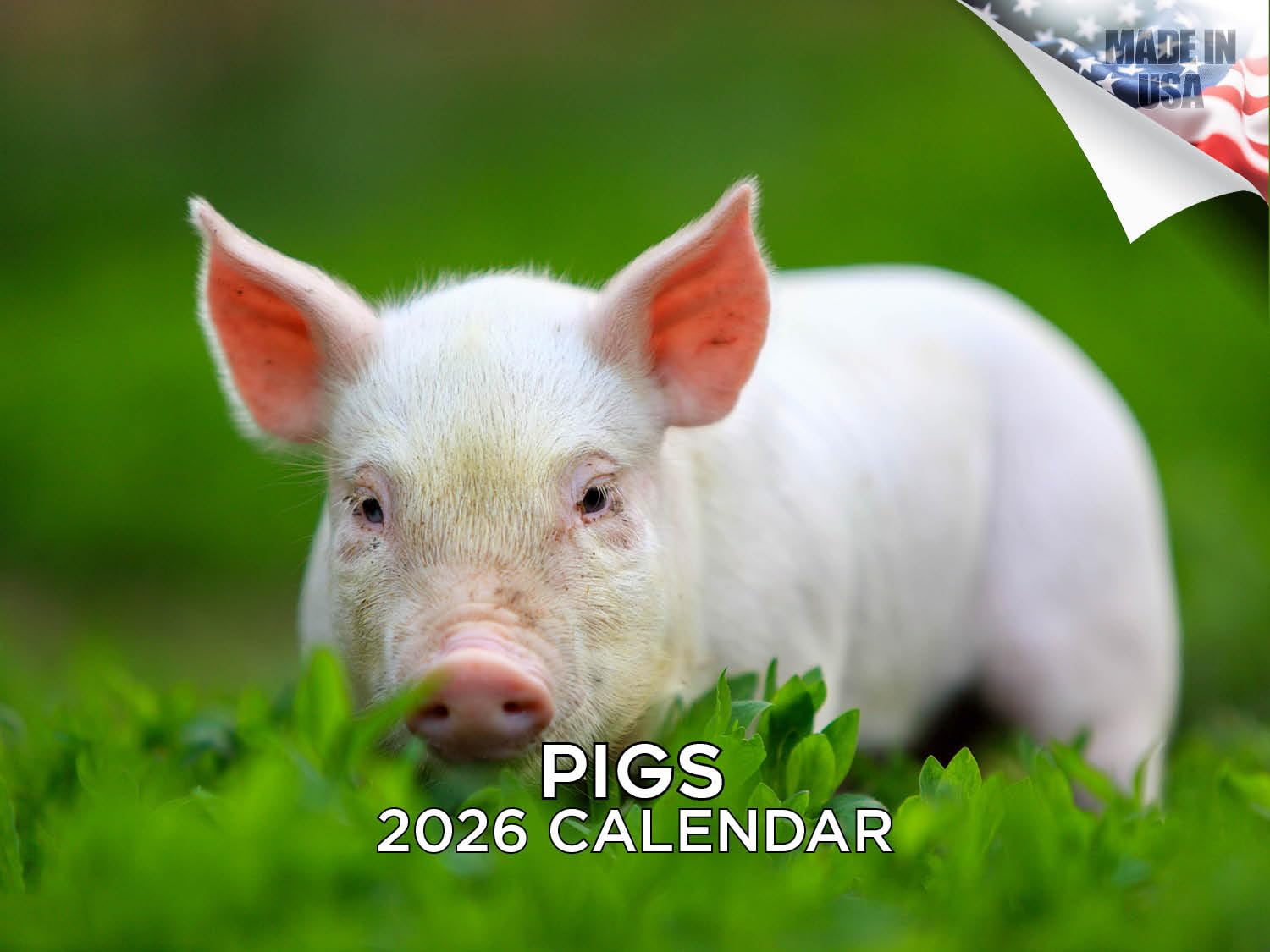 Snapklik.com : 2025 2026 Pigs Calendar - Cute Farm Animal Monthly Wall ...