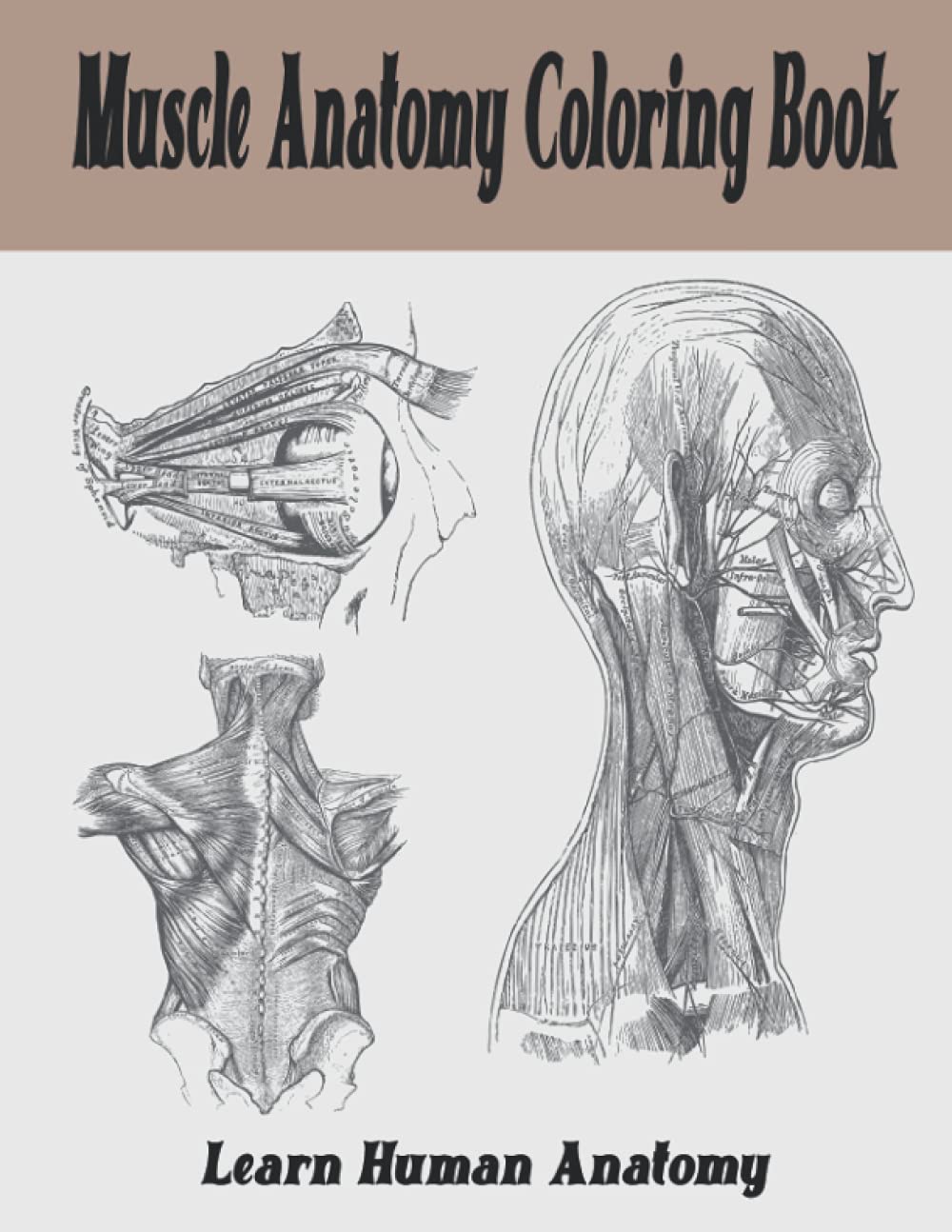 Buy Muscle Anatomy Coloring Book: Learn Human Anatomy Muscles for All ...