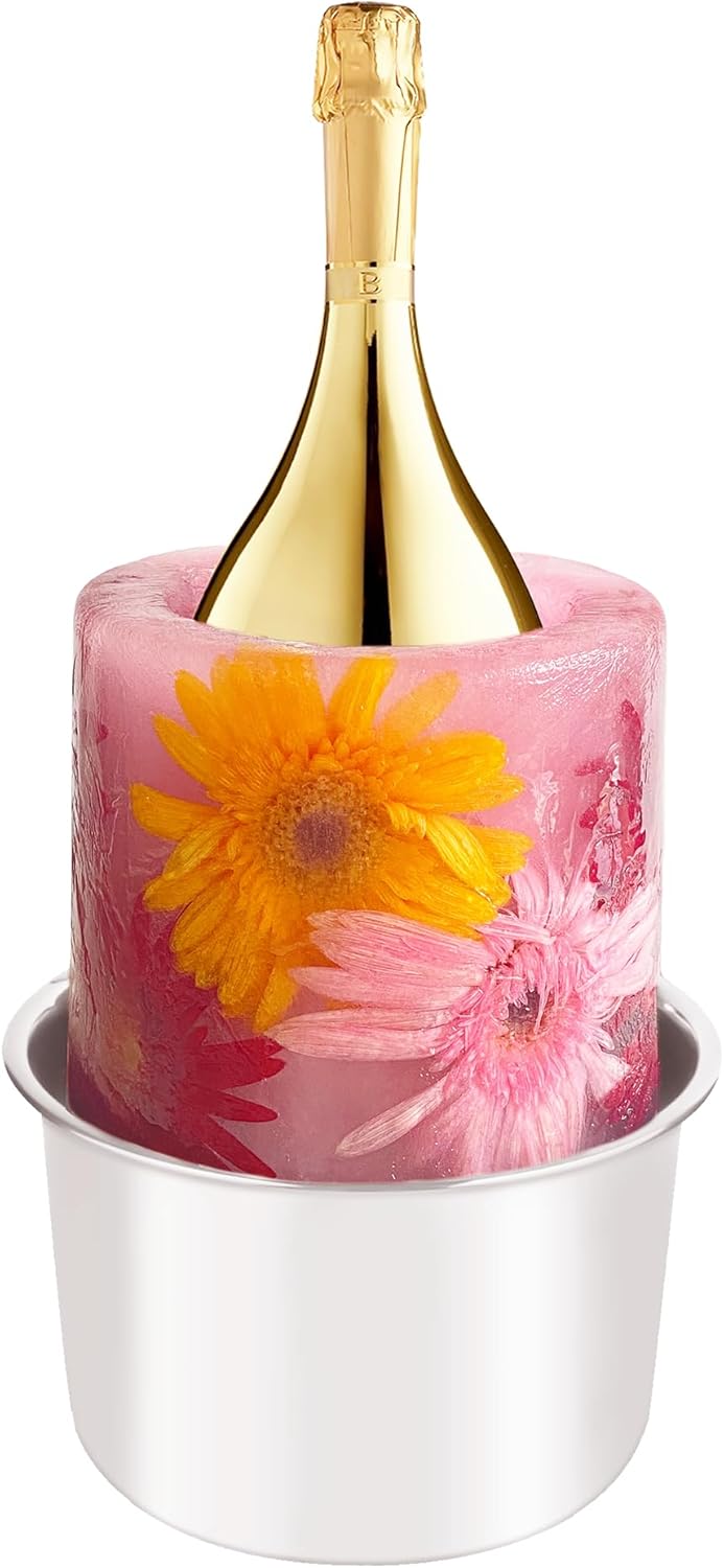 Amazon.com: Fxswety Champagne Bucket Ice Mold Wine Bottle Chiller, DIY ...