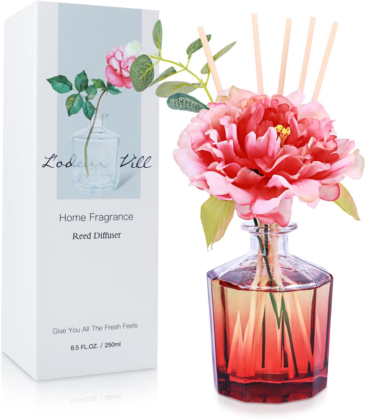 Amazon.com: L'odeur Vill Reed Diffuser, 8.5 Oz(250ml) Jasmine Lily ...