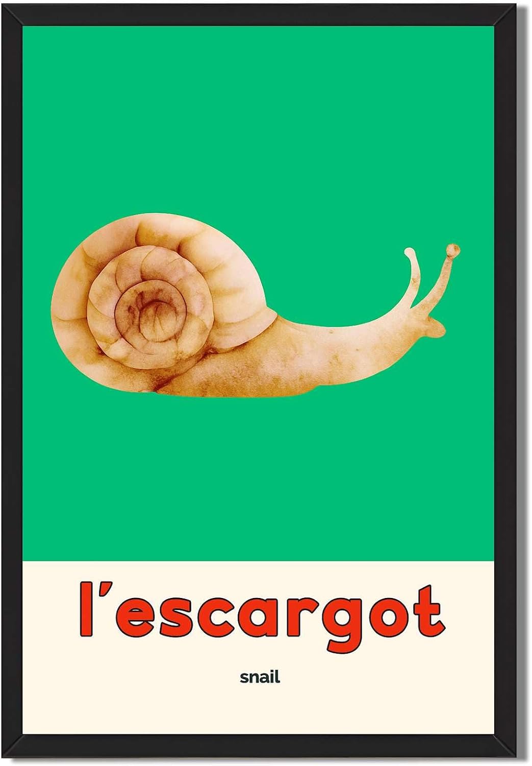 Amazon.com: Framed Snail Poster Canvas Print Art, Funky Wall Art ...
