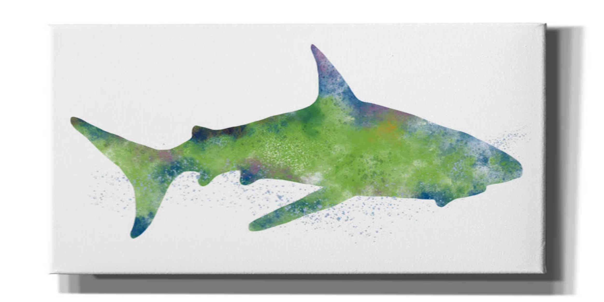 Graffiti Shark
