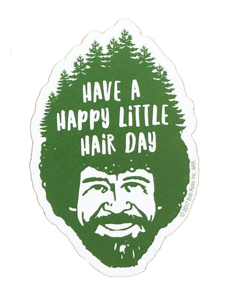Amazon.com: AQUARIUS - Bob Ross Hair Funky Chunky Magnet : Home & Kitchen