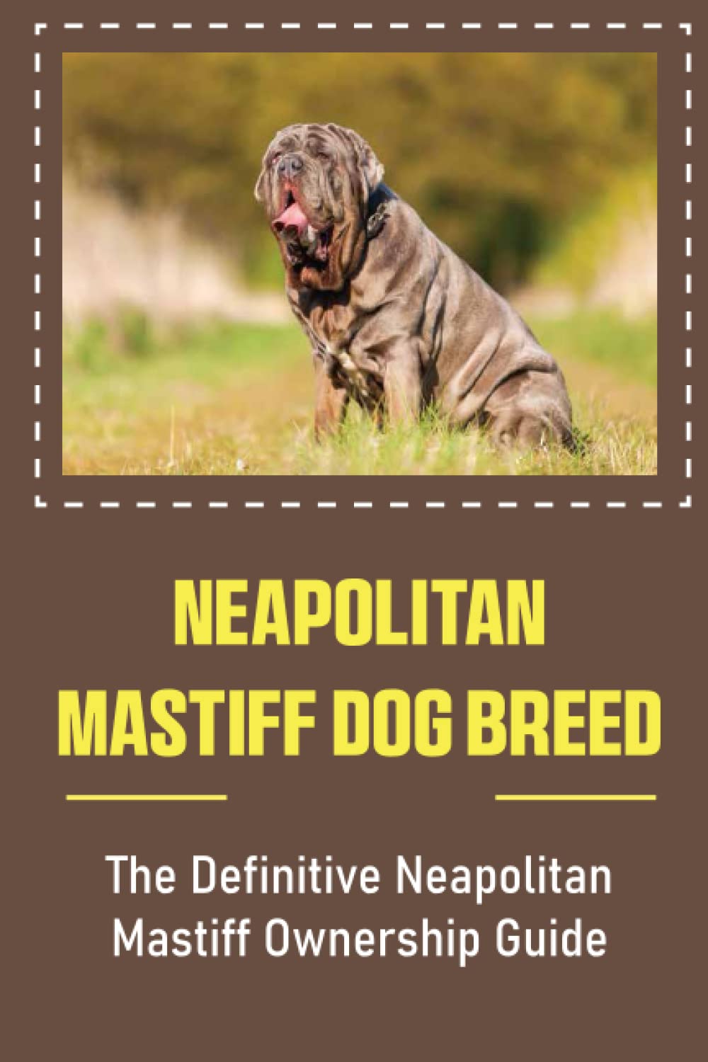 Neapolitan Mastiff Dog Breed Information Breed Advisor