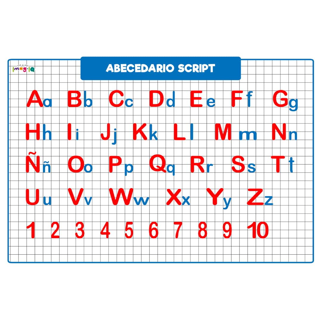 Trazado De Letras Del Abecedario Diseño PNG Y SVG De Alfabeto Floral