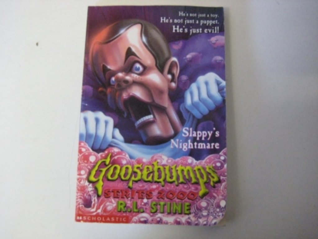 Slappy's Nightmare: 9780439014144: Books - Amazon.ca