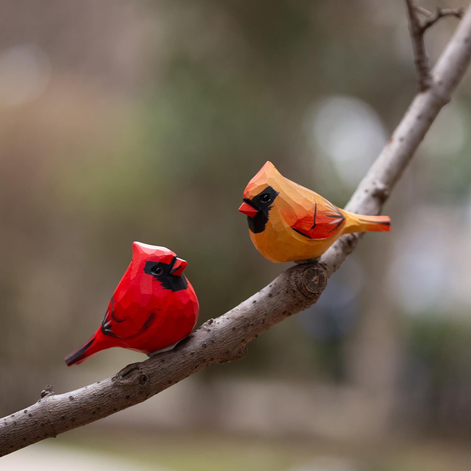 Female Cardinal Bird Northern Cardinals Ann Arbor Observer