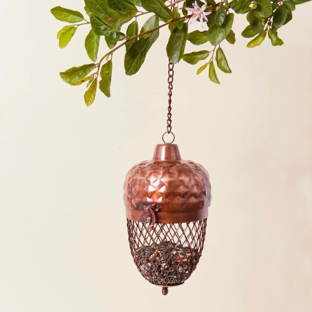 Amazon.com : Gardener's Supply Company Acorn Bird Feeder | Sturdy ...