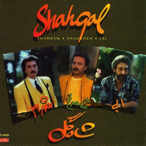 Amazon.com: Shahgol - Persian Music : Ebi, Shahrokh, Shahram Solati ...