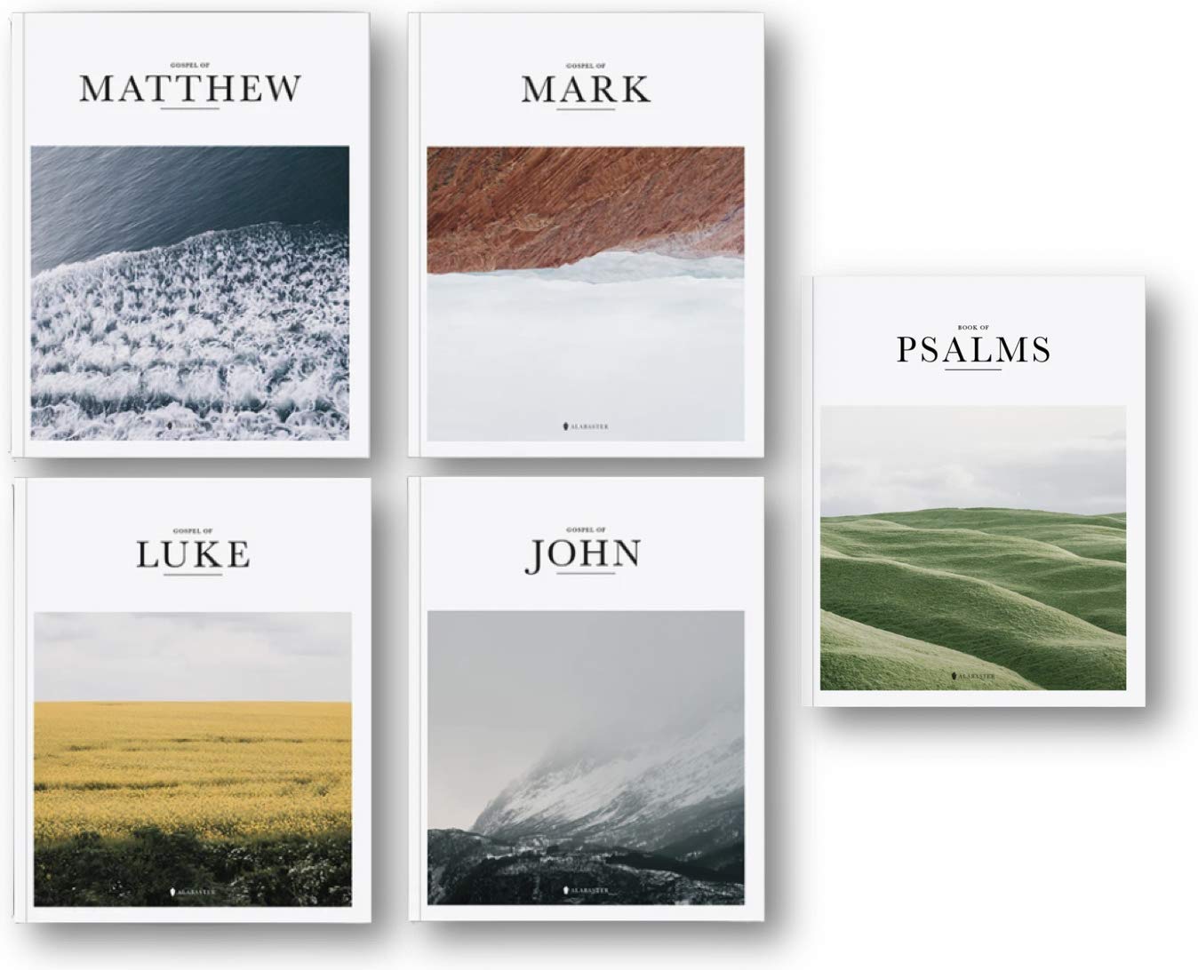 Gospels and Psalms Set - Alabaster Bible: Alabaster Co., Brian Chung ...