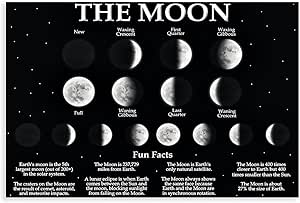 Amazon.com: Moon Phases with Fun Facts- Laminated - Educational Charts ...