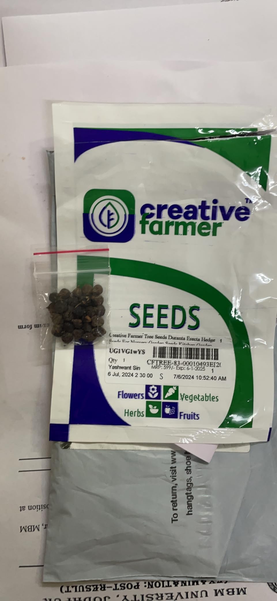 Creative Farmer Tree Seeds Duranta Erecta Hedge Seeds For Nursery ...