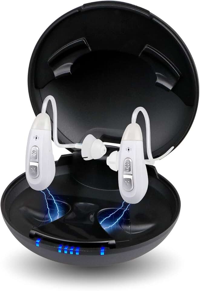 Amazon.com: Dual Microphone Hearing Aid