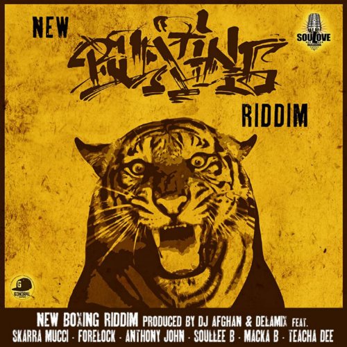 Amazon.com: New Boxing Riddim [Explicit] : VARIOUS ARTISTS: Digital Music