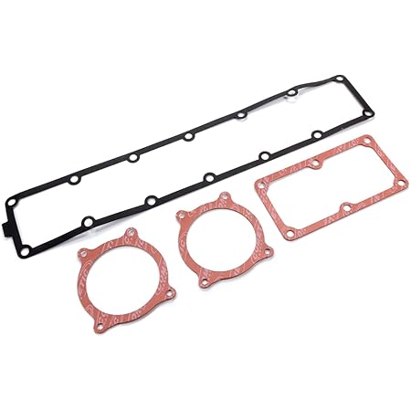 Amazon.com: GM Genuine Parts 97729991 Intake Manifold End Seal : Automotive