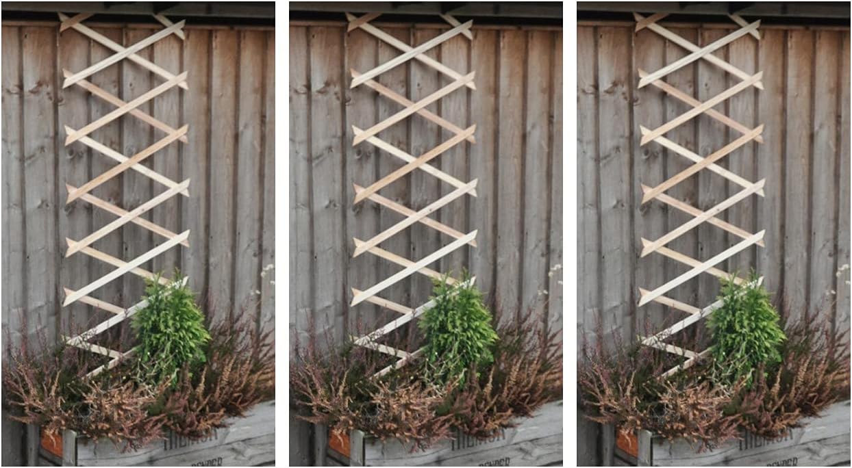 Garden Mile Set of 3 Expanding 6ft x 1ft Wooden Garden Trellis Outdoor ...