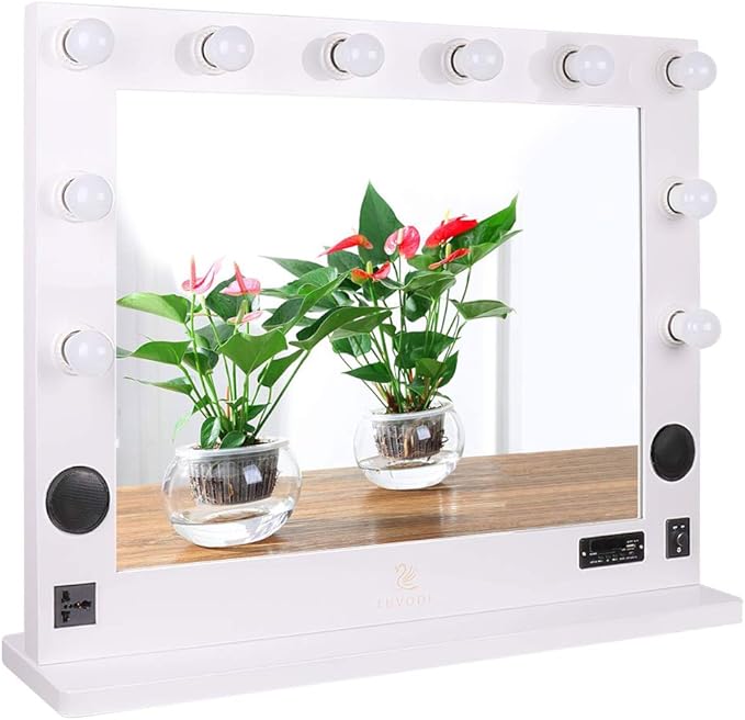 LUVODI Lighted Hollywood Makeup Mirror, Large LED Vanity Makeup Mirror ...
