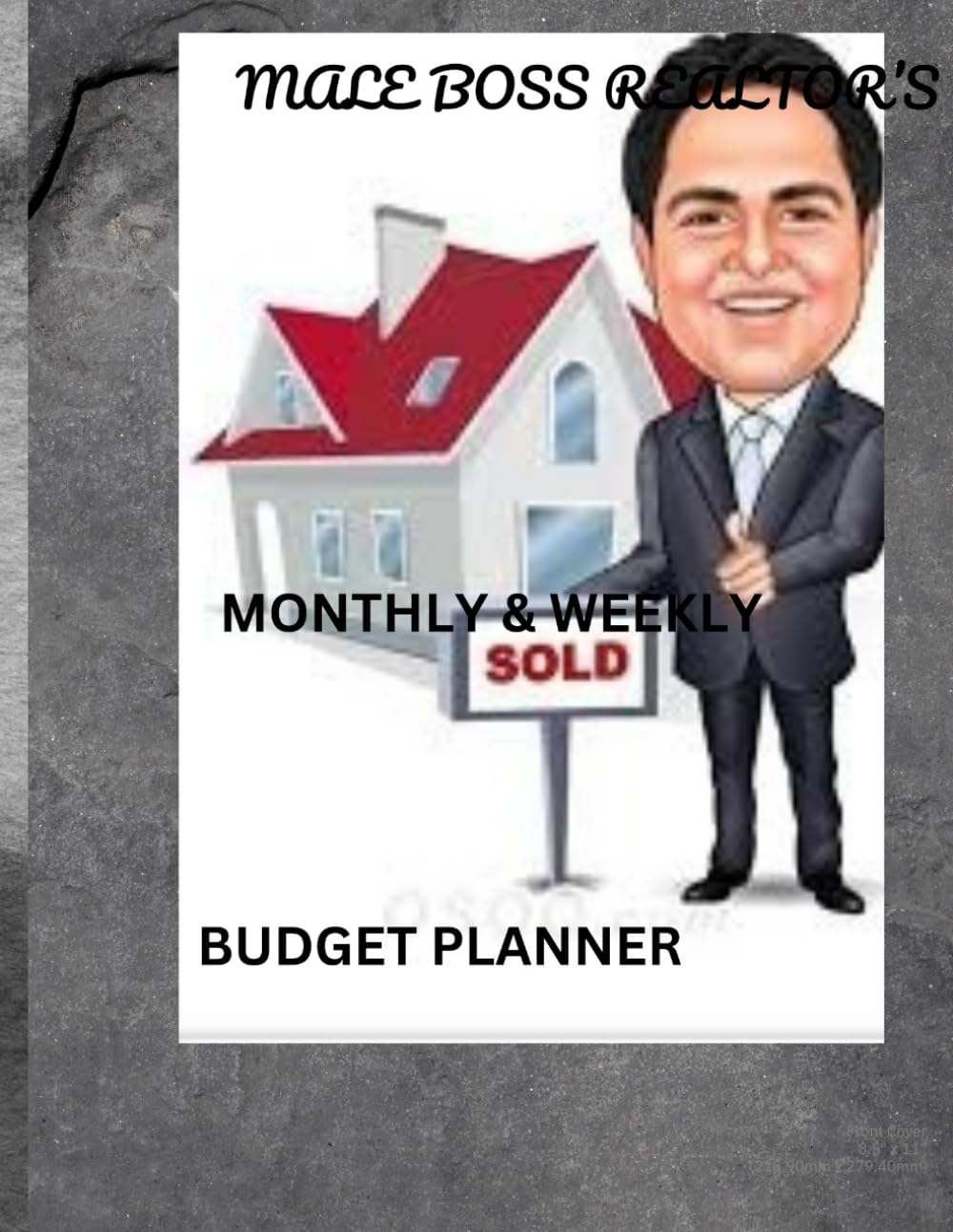 MALE BOSS REALTOR'S MONTHLY & WEEKLY BUDGET PLANNER: PURYEAR, BARBARA ...